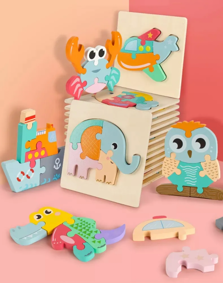 3D Montessori Puzzles (5 pcs- Assorted) – Allomama Brunei